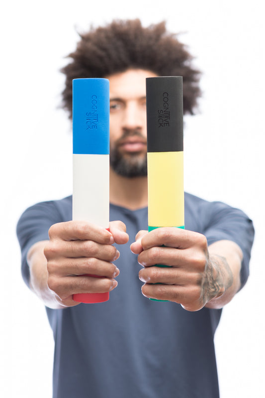 Cognitive Stick